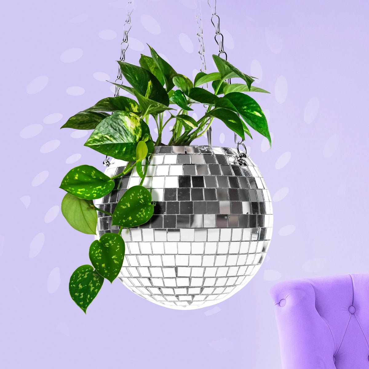 Disco Hanging 6" Planter — Lockwood Shop